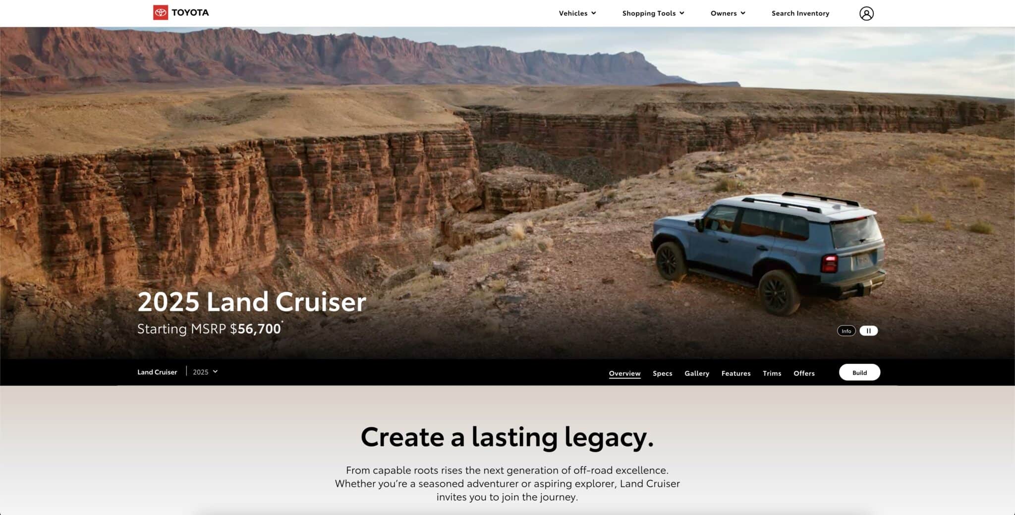 The Top 5 Web Design Trends to Watch in 2025 | Muletown Digital